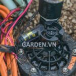 Van giảm áp 3/4inch=1.905 cm PRS-Dial Rainbird | GARDEN.VN
